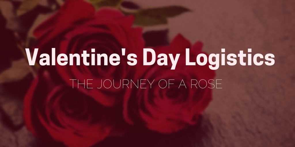 Valentine's Day Logistics - iContainers